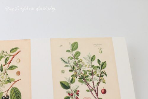 How to Make Your Own Botanical Prints | Julie Blanner