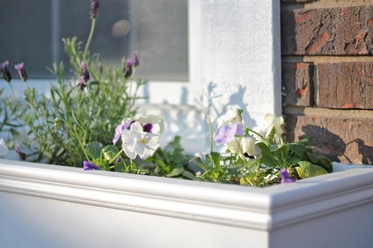 How to Make Window Boxes (DIY Window Planters) | Julie Blanner