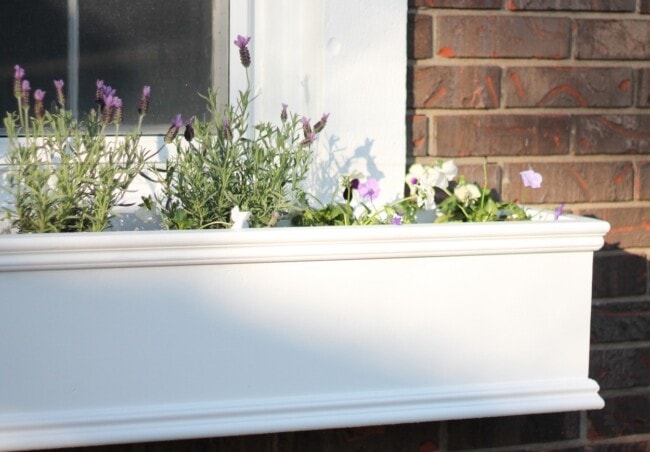 How to Make Window Boxes (DIY Window Planters) | Julie Blanner