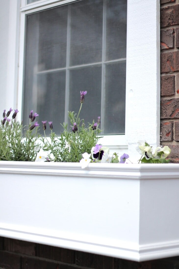How to Make Window Boxes (DIY Window Planters) | Julie Blanner