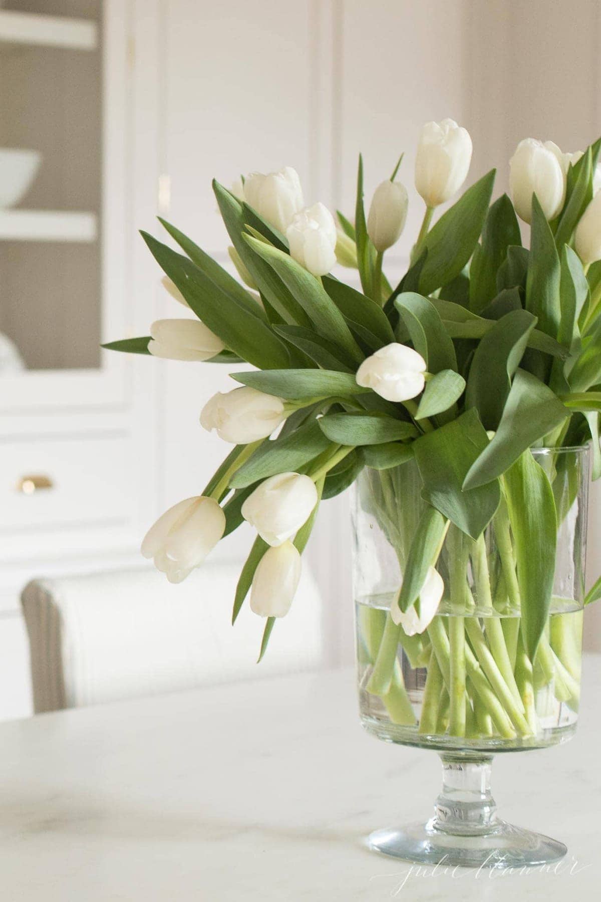 How To Arrange Tulips A Step By Step Tutorial To Create Your Own Tulip 