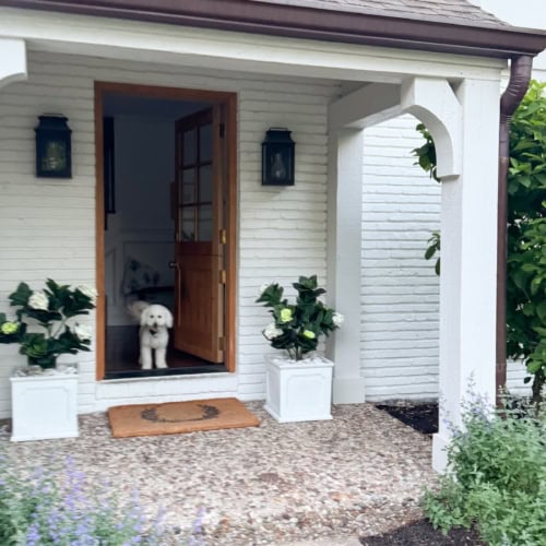 Picture Perfect Porch Planters and Filler Ideas | Julie Blanner