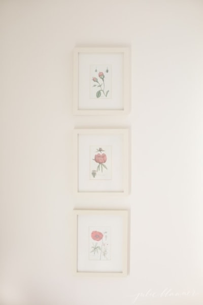 How to Make Your Own Botanical Prints | Julie Blanner