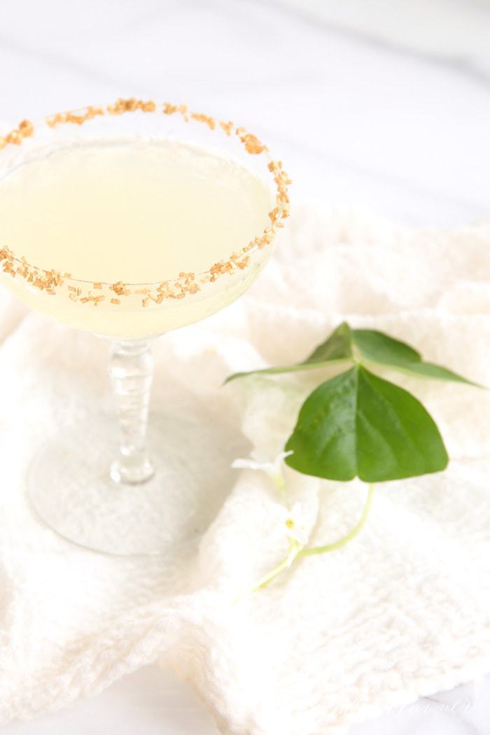 Refreshing Sparkling Lemonade Recipe | Julie Blanner