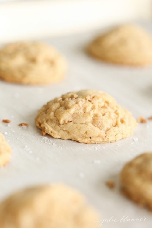 Oatmeal Brickle Cookies | Julie Blanner