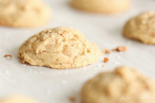 Oatmeal Brickle Cookies | Julie Blanner