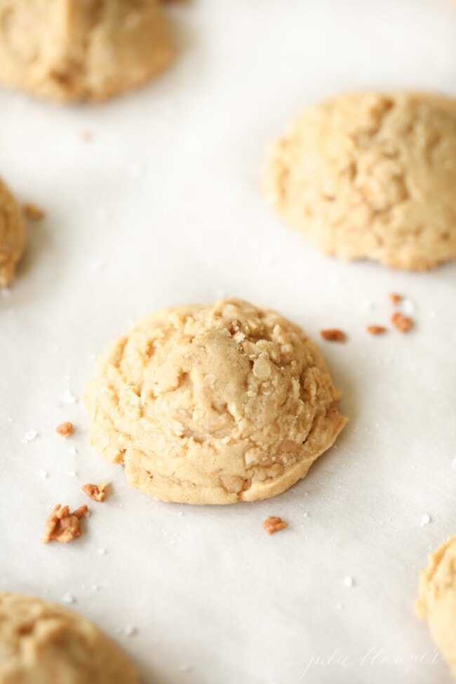 Oatmeal Brickle Cookies | Julie Blanner
