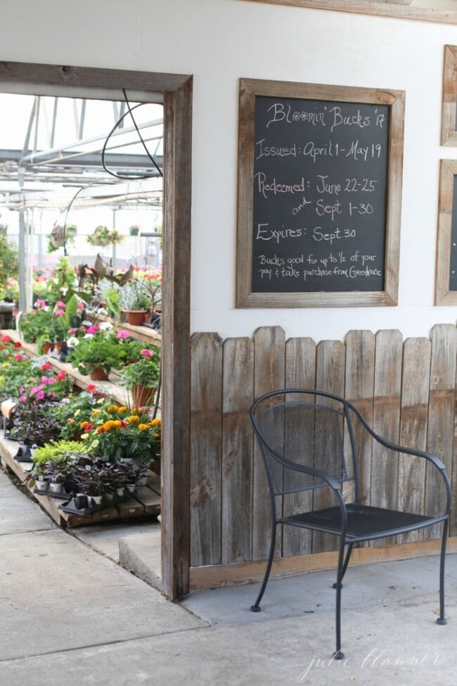 The Secrets to Flower Pot Design | How to Arrange Garden Containers