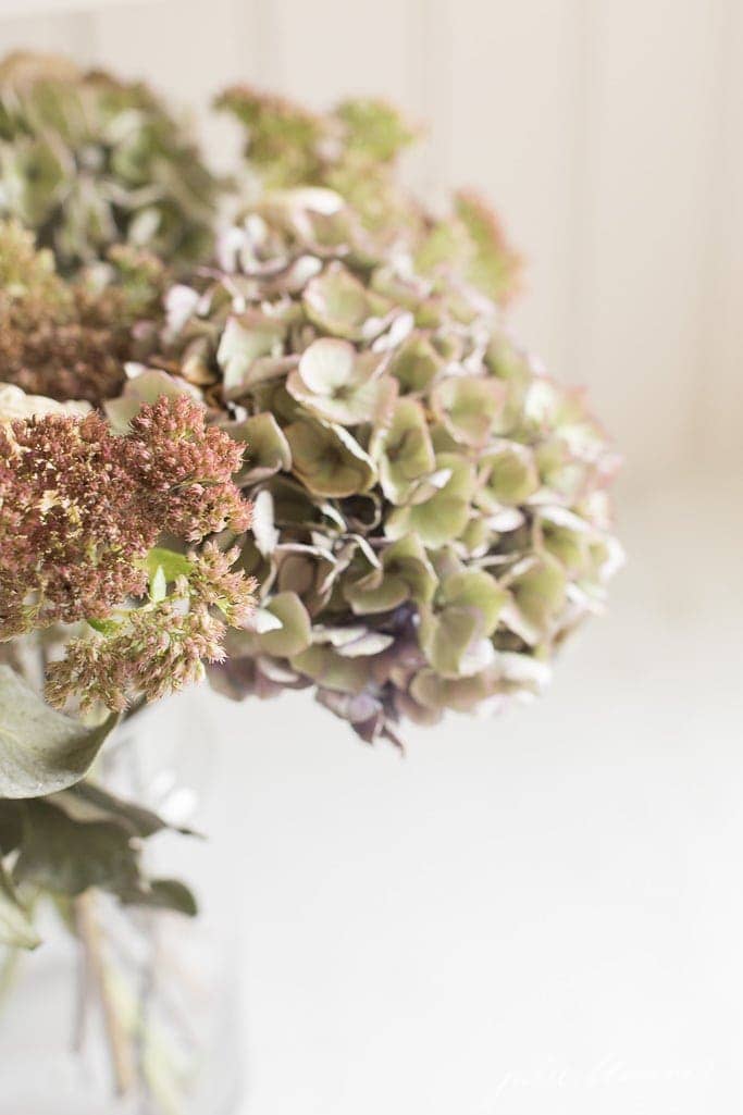 How to Decorate with Dried Flower Arrangements
