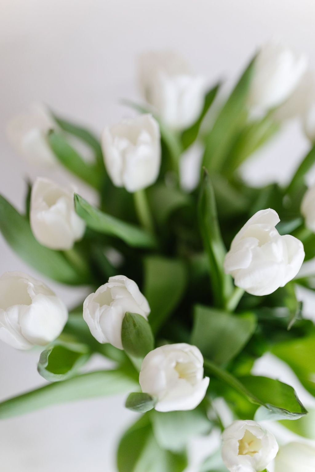 How to Arrange Tulips | Julie Blanner