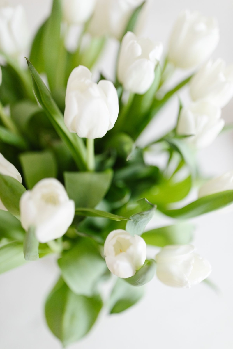 How to Arrange Tulips | Julie Blanner