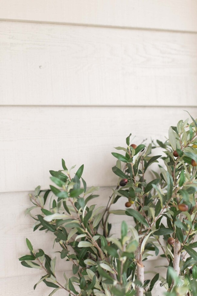 Sherwin Williams Realist Beige