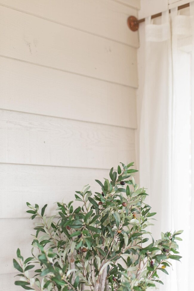 Sherwin Williams Realist Beige