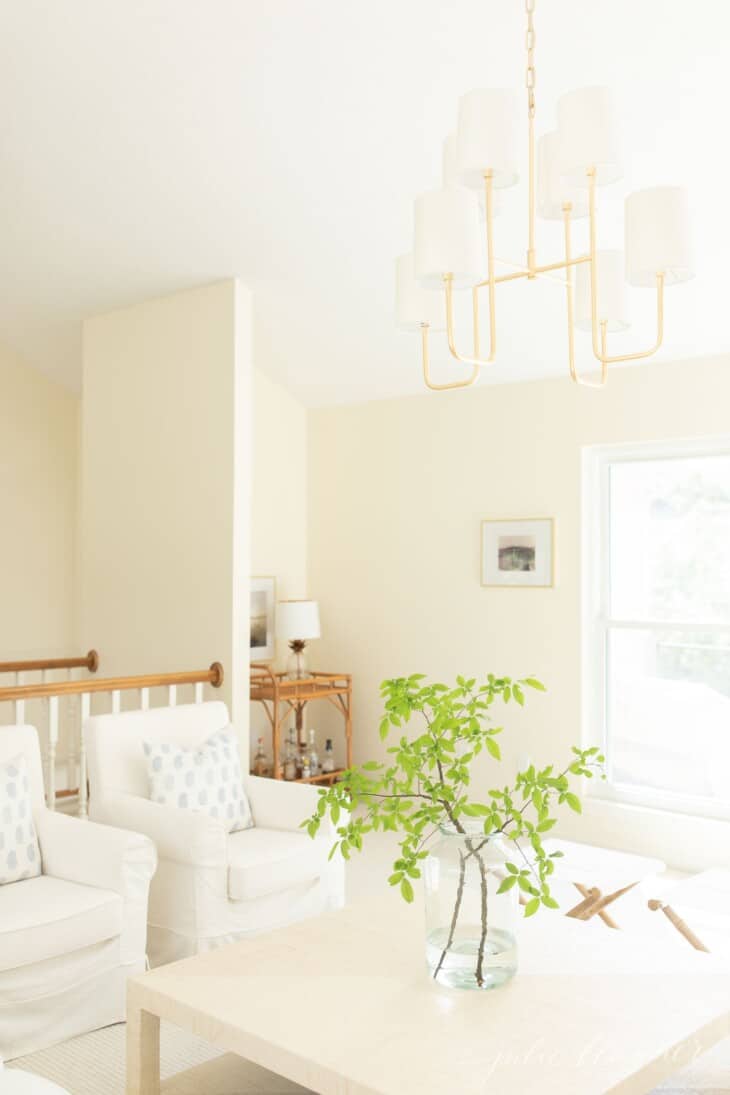 Ceiling Paint | Everything to Know About Choosing The Best Ceiling Paint