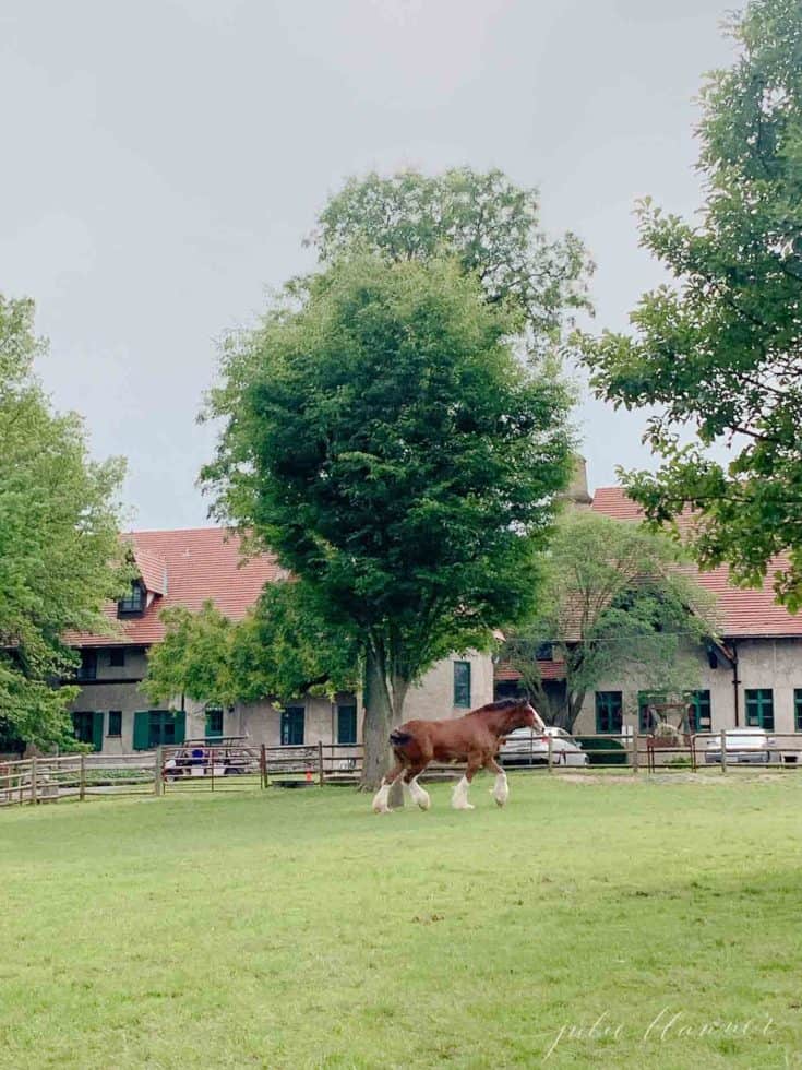 A Local's Guide to 50+ Things to do in St. Louis l | Julie Blanner