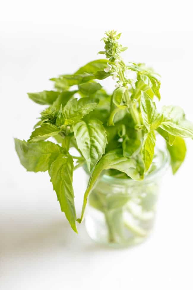 Quick and Easy Lemon Basil Pasta | Julie Blanner