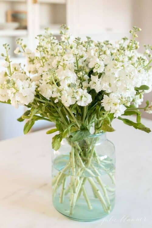 How to Make a Stock Flower Arrangement | Julie Blanner