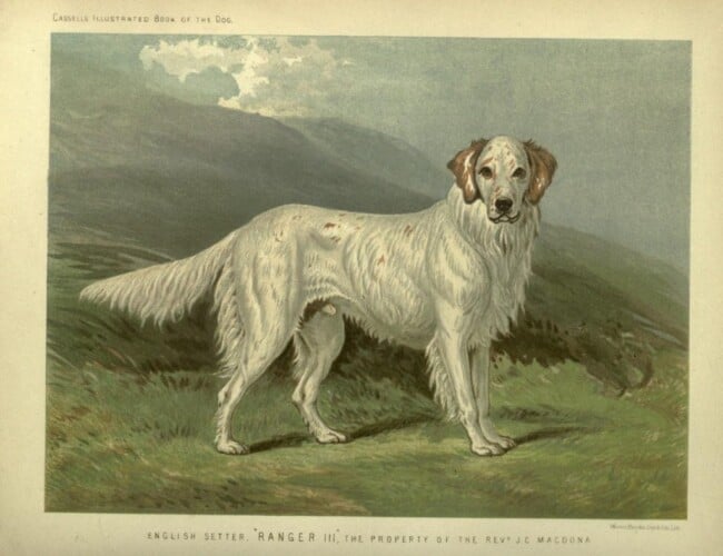 17 of the Best FREE Public Domain Art Sources | Julie Blanner