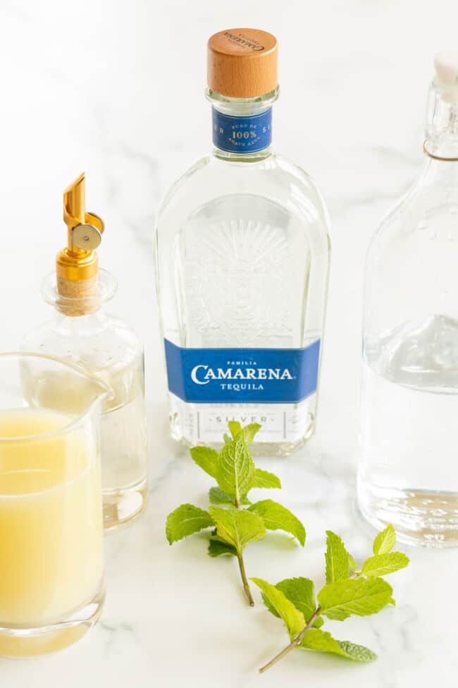 Fresh and Easy Mint Margarita Recipe | Julie Blanner