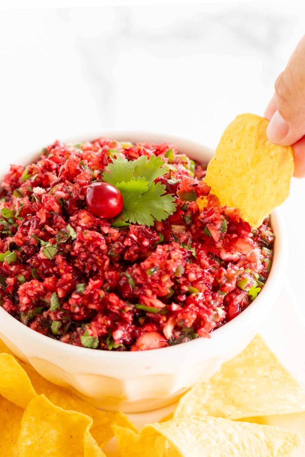8 Easy Salsa Recipes | Julie Blanner