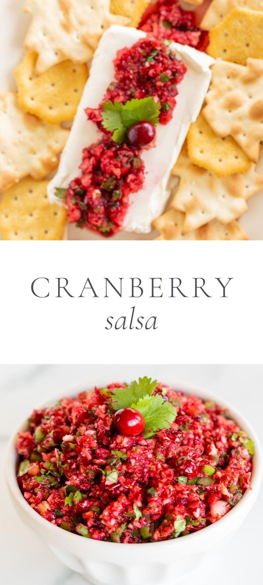 Christmas Salsa | Julie Blanner