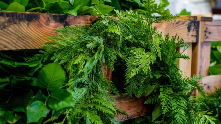 Cedar Garland Guide | Julie Blanner