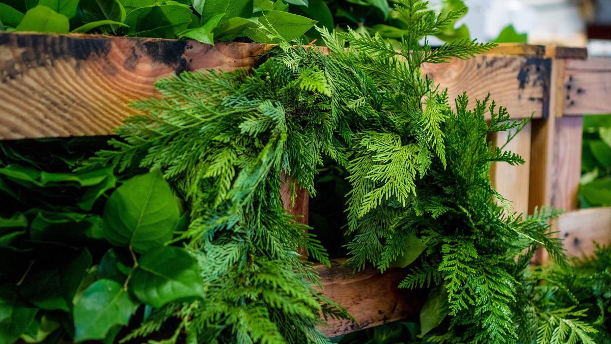 The Ultimate Fresh and Faux Cedar Garland Guide | Julie Blanner