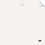 Everything You Need to Know About Paint Samples | Julie Blanner