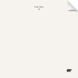 Everything You Need to Know About Paint Samples | Julie Blanner