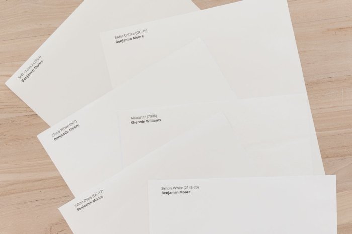 Everything You Need to Know About Paint Samples | Julie Blanner