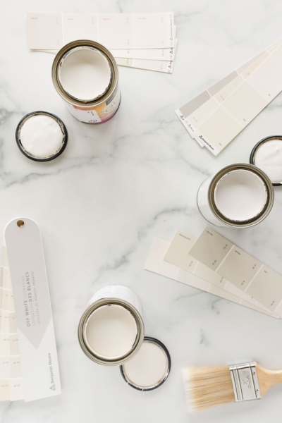 Everything You Need to Know About Paint Samples | Julie Blanner