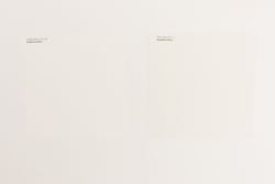 Everything You Need to Know About Paint Samples | Julie Blanner