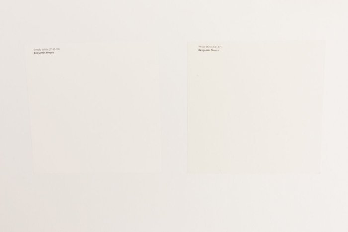 Everything You Need to Know About Paint Samples | Julie Blanner