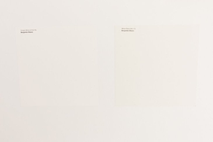 Everything You Need to Know About Paint Samples | Julie Blanner