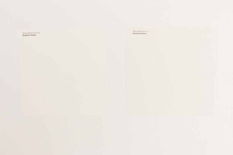 Everything You Need to Know About Paint Samples | Julie Blanner