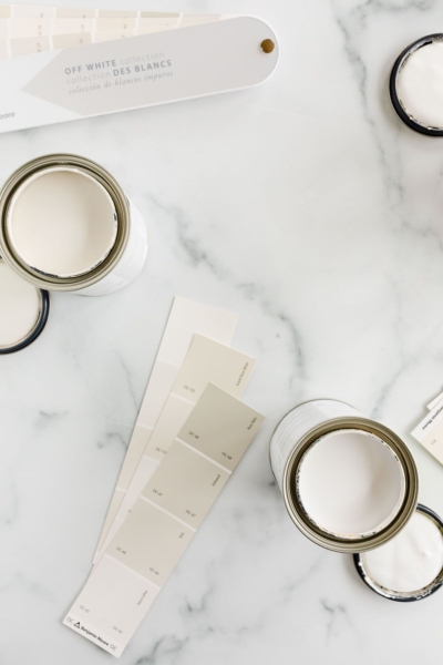 Everything You Need to Know About Paint Samples | Julie Blanner