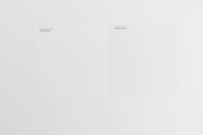 Everything You Need to Know About Paint Samples | Julie Blanner